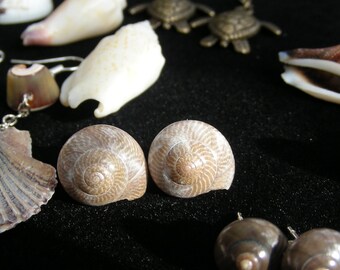 Sea shell jewelry | Etsy