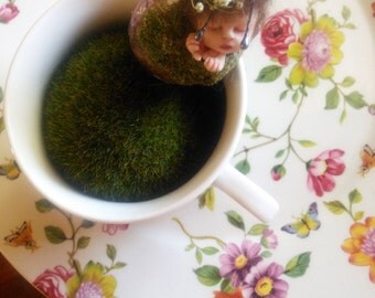 Fairy garden snails | Etsy