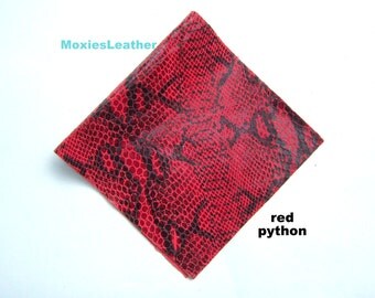 Real snake skin | Etsy