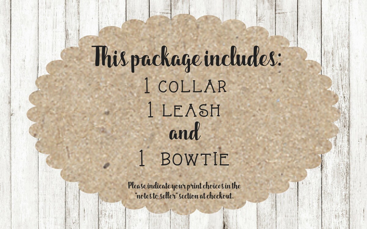 Dapper Dog Package includes collar leash and bowtiemade