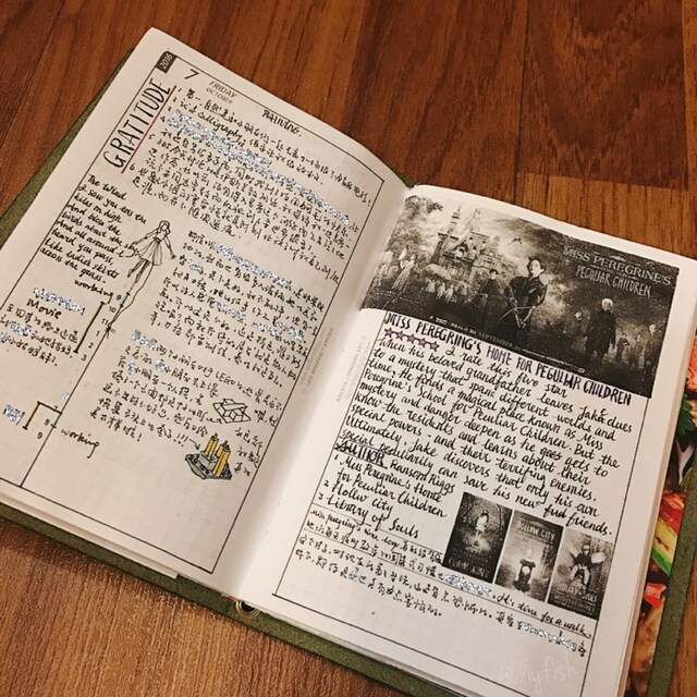 DIYfish Life Mapping® System www.diyfishblogs.com by DIYfish