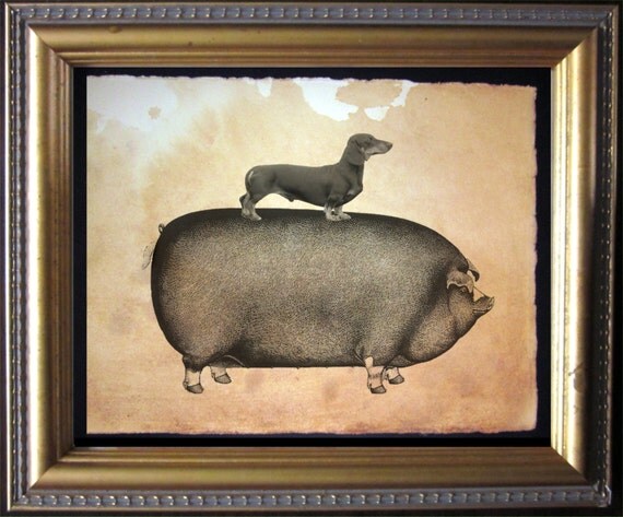 Black Dachshund Wiener Dog Riding Pig Vintage Collage Art