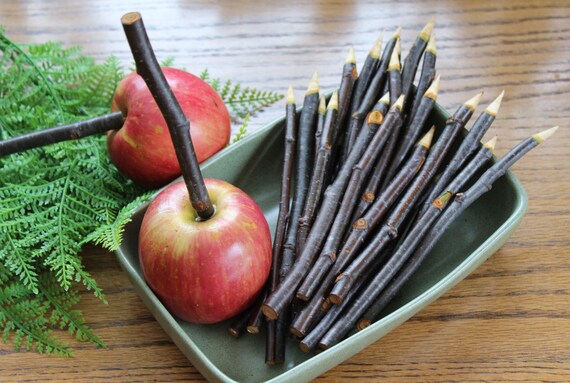 25 Rustic Caramel Apple Sticks/ Natural Maple by OurLifeInTheWoods