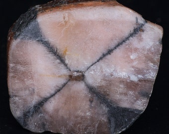 Chiastolite | Etsy