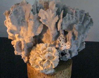Items similar to White Clay Sea Coral Sculpture Home Decor - Myriad ...