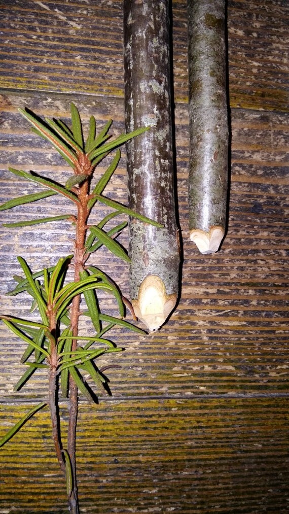 Celtic sacred tree druid wood rowan wand supply natural wooden sticks ...