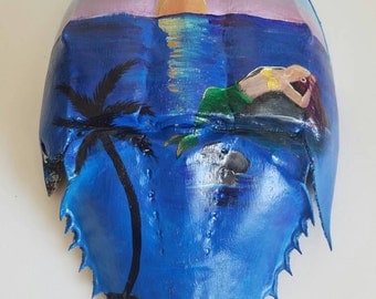 Large sunrise shell | Etsy