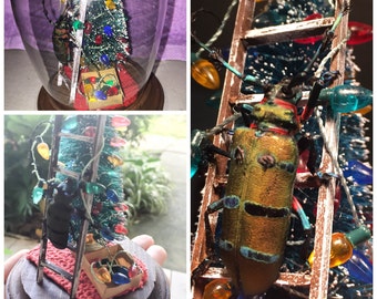 Insect diorama | Etsy