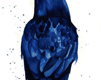Items similar to Raven original ink illustration 4.5"x7" on paper. on Etsy