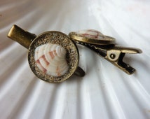 Unique seashell hair clip related items | Etsy