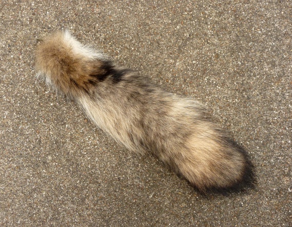 Real Wolf Tail Keychain with swivel clasp clip by WildHeartedOne