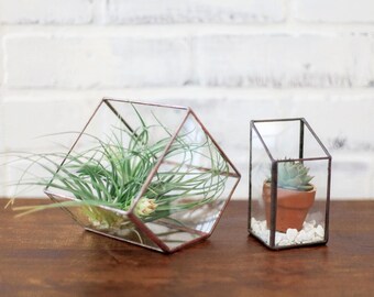 Terrarium figurines | Etsy