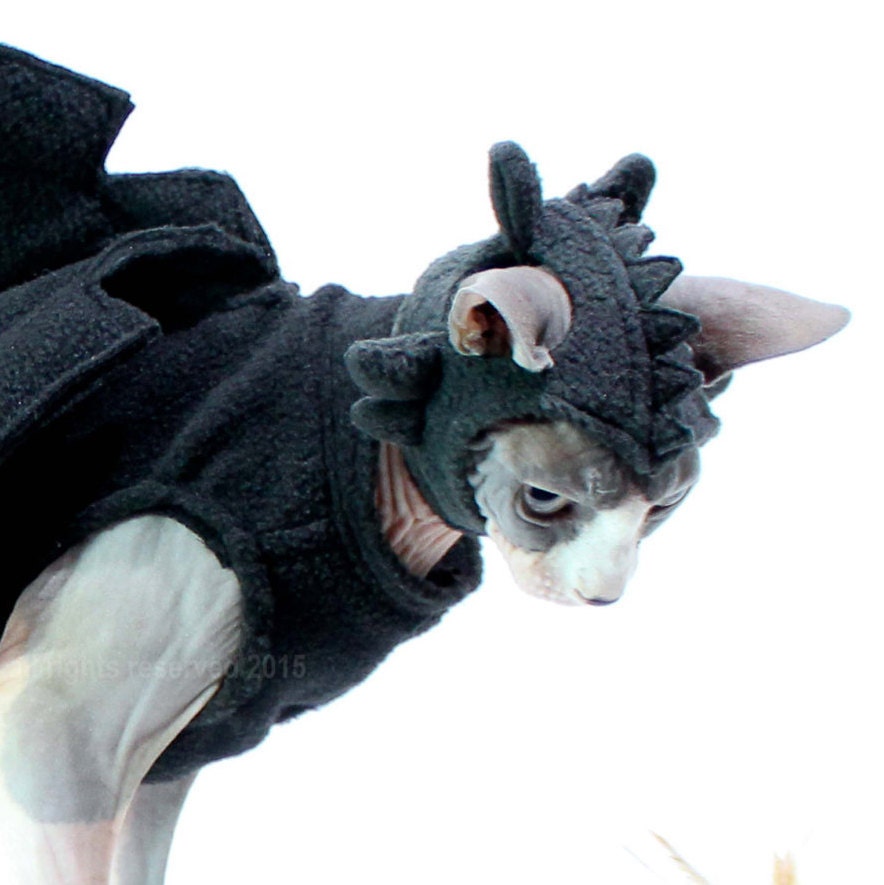 Cat Costume Toothless Dragon Halloween Hat for a by SimplySphynx