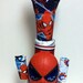 Spider Man Super Hero Potty Training Diaper for Birthday Boy