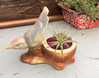 Ceramic bird planter | Etsy