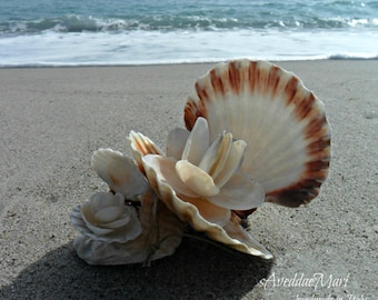 Shell arrangements | Etsy