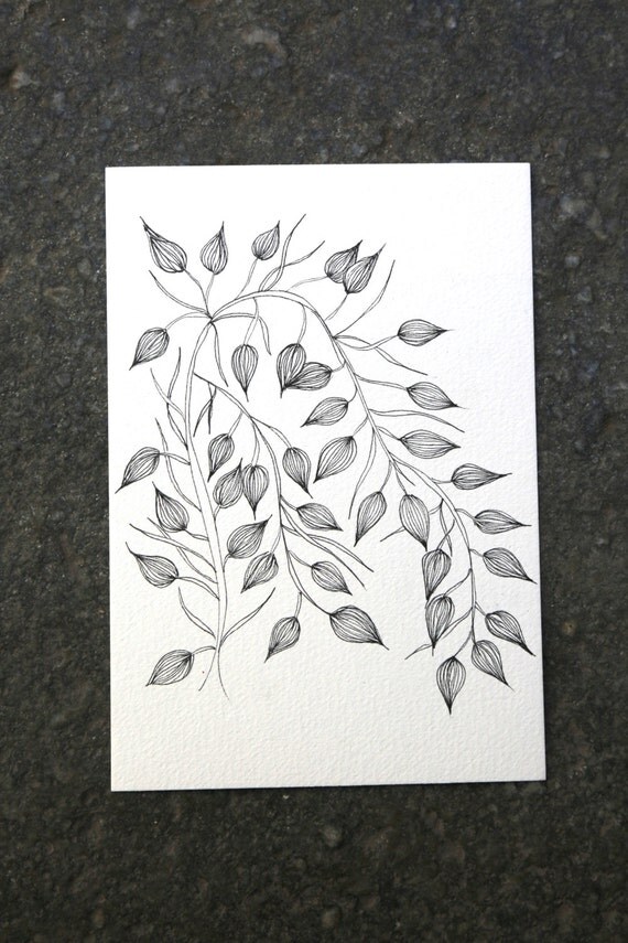 Black and White Ink Botanical Illustration