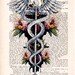Caduceus Symbol Medical Art Medicine Rod of Asclepius