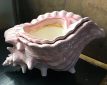 Unique conch shell planter related items | Etsy