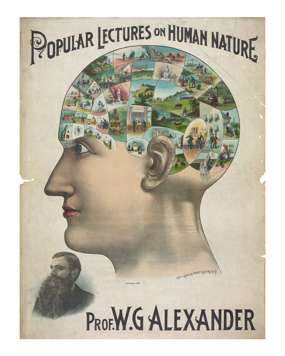 Phrenology Poster Vintage Art Print Antique Advertising