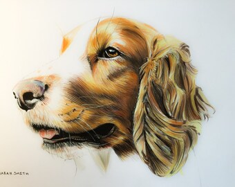 Spaniel drawing | Etsy