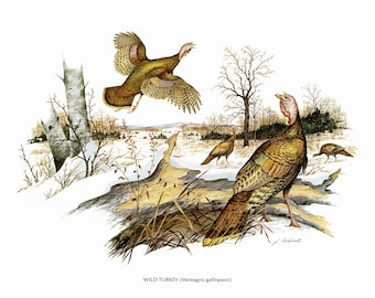 James lockhart | Etsy