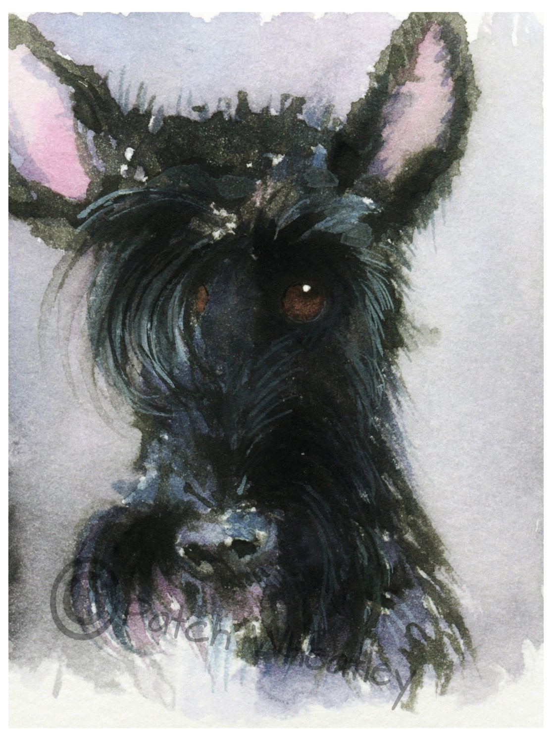 Scottie Dog Art Print Scottish Terrier Unframed by ArchyScottie