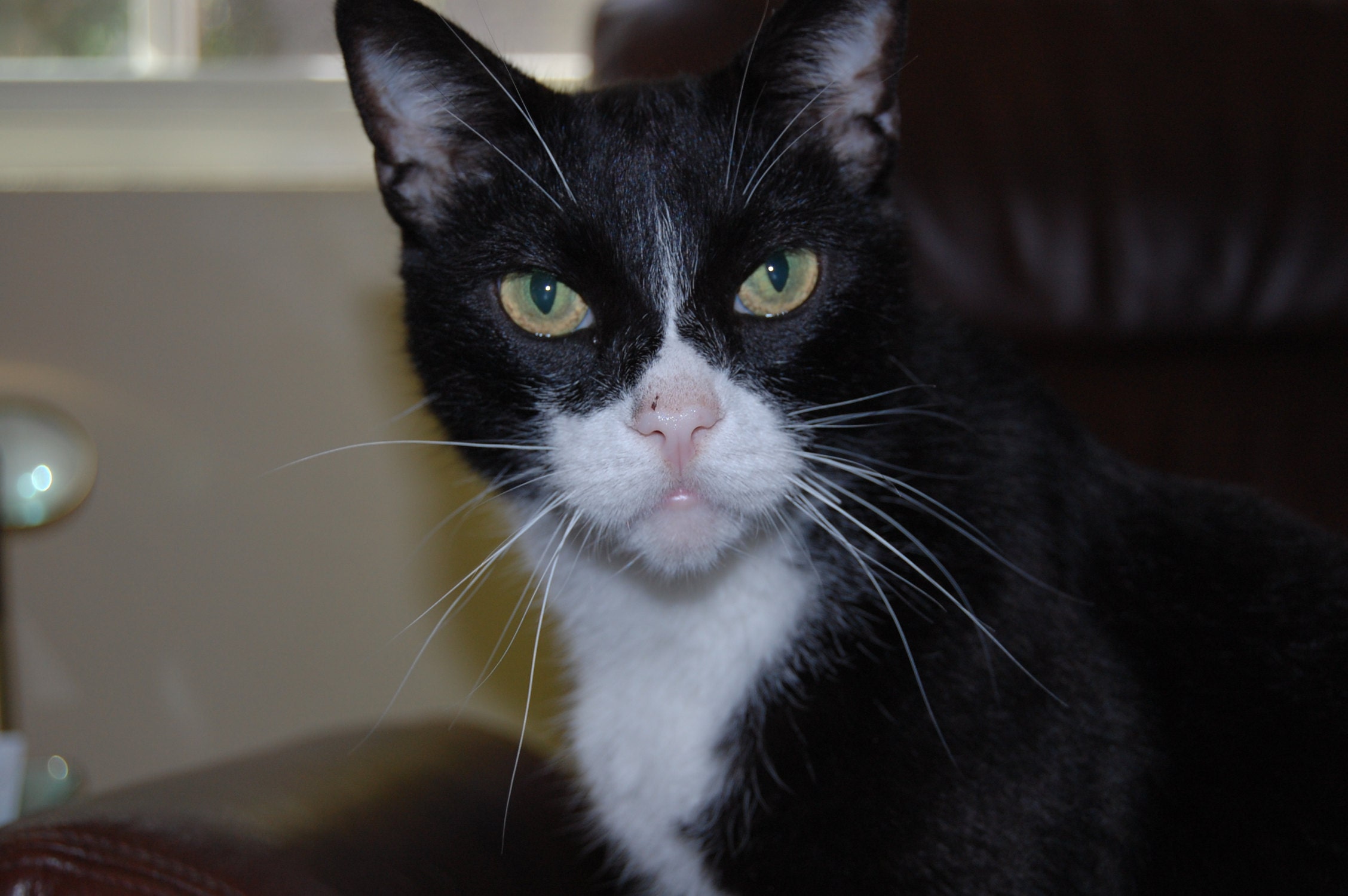 StroupCreations on Etsy