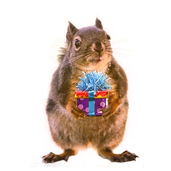 Squirrel Gifts Squirrel Print Squirrel Art Funny Birthday