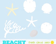 Unique sand dollar clip art related items | Etsy