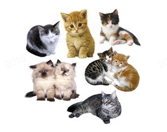 Farm animal clip art | Etsy