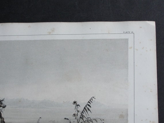 1850's Tinted Lithograph: Plain between the San Joaquin