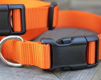 Hunting dog collars | Etsy