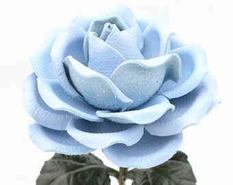 Blue rose long stem | Etsy