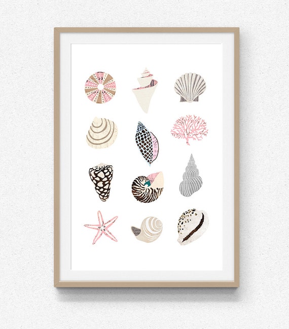 Seashell Art Print Collage Illustration Wall by TheCuriousNickel