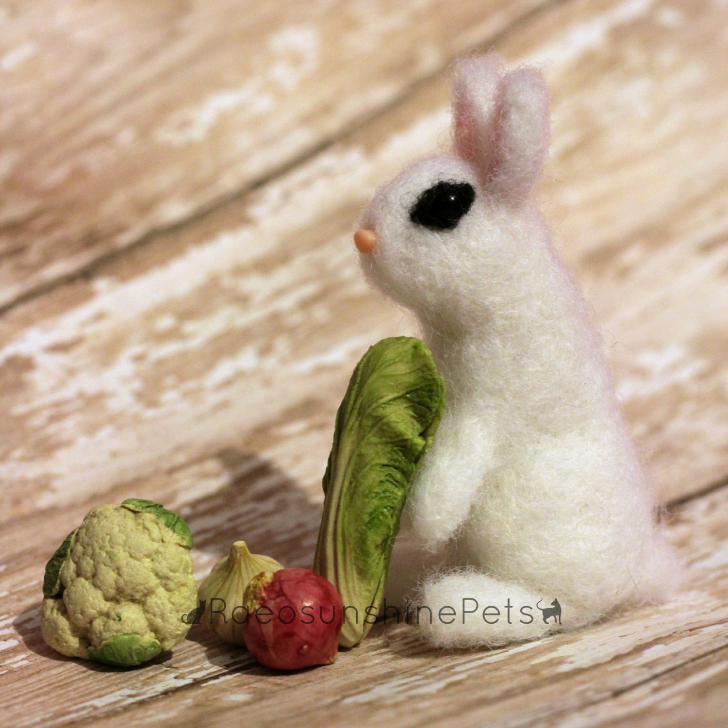 Needle Felted Miniatures Pet Portraits Baby by RaeosunshinePets