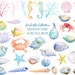 Watercolor Clipart Seashell Collection seashells crabs