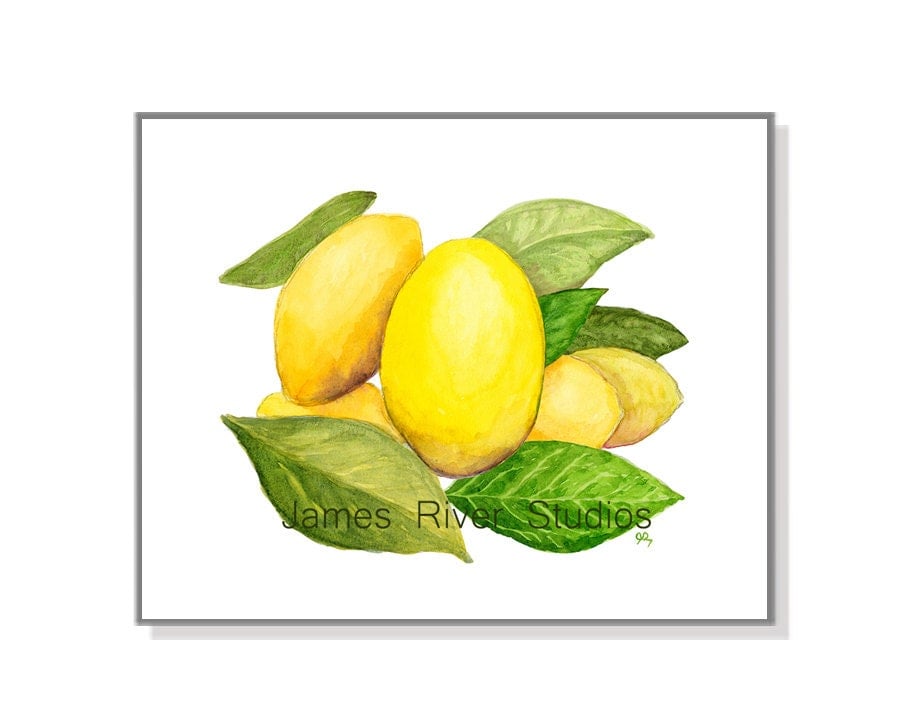 Lemon Art Lemon Painting Lemon Print. Lemon Watercolor Lemon