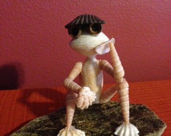 Broad-Ribbed Cardita Seashell Owl by BCSeaShells on Etsy