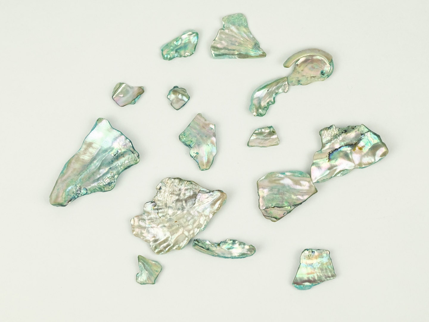 Turquoise Dyed African Abalone Pieces: Assorted Sizes. 1 KG