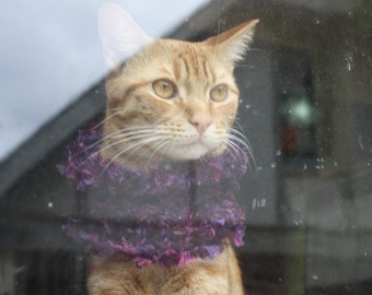 Formal wear for cats | Etsy