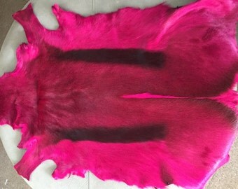 Springbok hide | Etsy