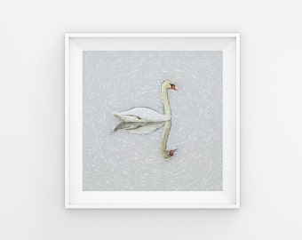 Unique swan print related items | Etsy