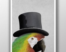 Popular items for parrot poster on Etsy