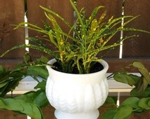 Unique pot leaf pattern related items | Etsy