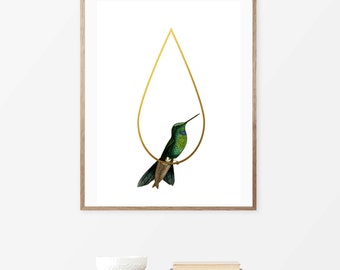 Hummingbird poster | Etsy