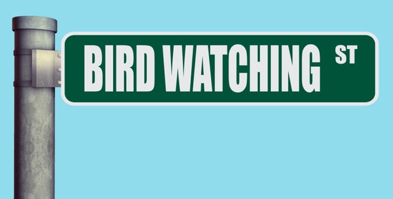 Bird Watching ST Street Sign Heavy Duty Aluminum Warning