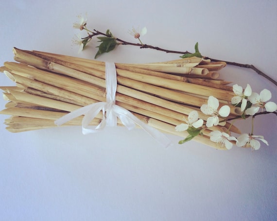 Dried REEDS Craft Supplies Reed Bouquet Floral Arrangement
