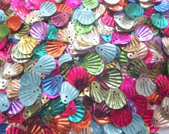 Assorted seashells | Etsy