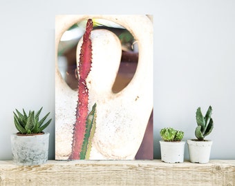 Cactus sculpture | Etsy